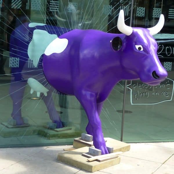 Are You a Purple Cow? | Author Media