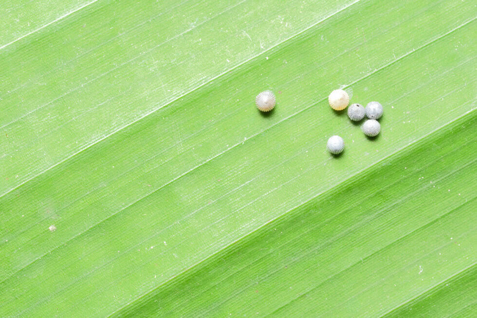 How to Extend Your Book’s Life With Effective Marketing - Author Media